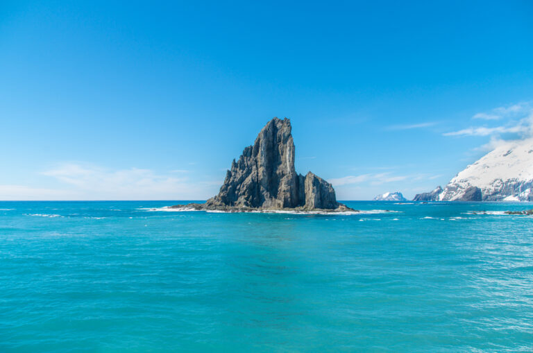 Point Wild | Leading portfolio of online security brands