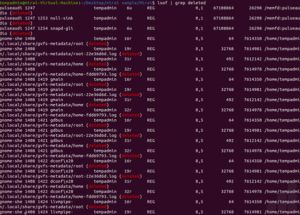 Mirai: The IoT Botnet | Point Wild